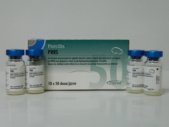 Porcilis PRRS - MSD Animal Health România